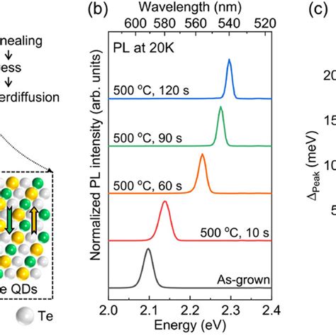 A Schematic Of The Structure Of Epitaxially Grown Cdte Znte Qds With