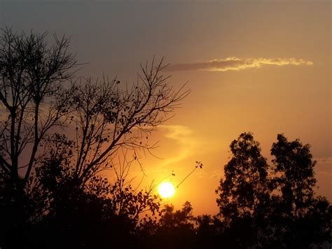 Evening