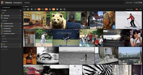 Clustering Images With Embeddings — Fiftyone 140 Documentation