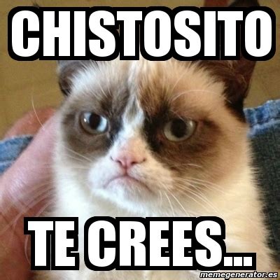 Meme Grumpy Cat Chistosito Te Crees 4714575