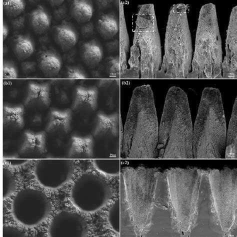 Top And Cross Sectional Views Of Sem A Cylindrical Micro Structure Download Scientific