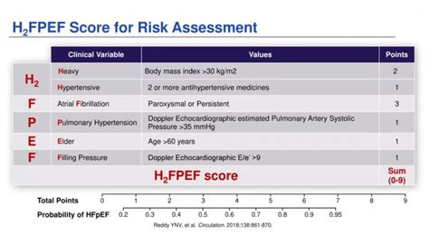 Understanding The H2fpef Score For Hfpef Diagnosis Mohamed Algizy