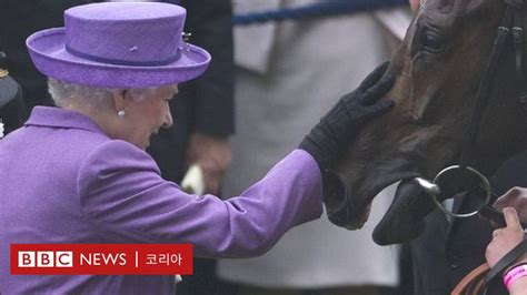 엘리자베스 여왕이 평생 열정을 바친 말 Bbc News 코리아
