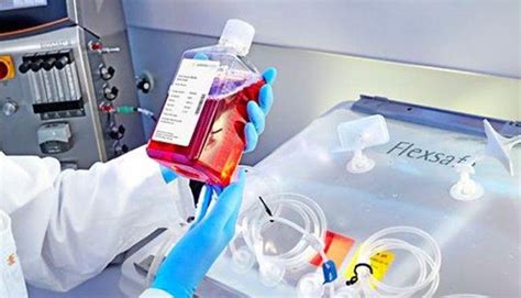 Cell Culture Media And Buffers