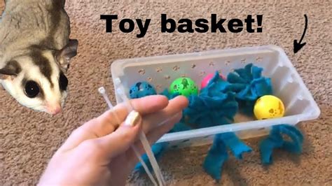 Diy Sugar Glider Toy Basket Youtube