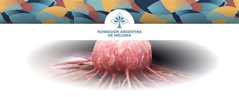 Carta Abierta De La Fundación Argentina De Mieloma Blog De Medicina
