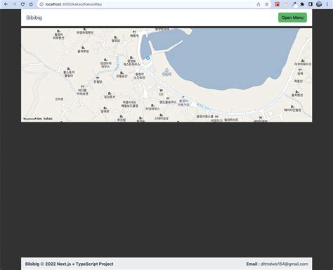 React js Next js KakaoMap Roadview 구현