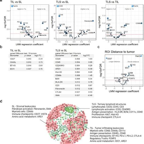 Tumor Immune Microenvironment Time Heterogeneity Across Patients And