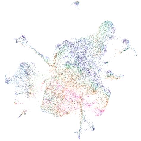 Nf2b Mesenchyme Daniocell