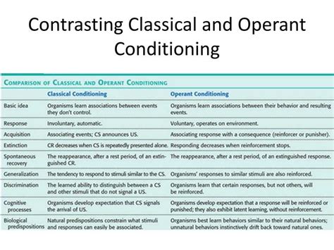 The Secret To Mastering Classical Conditioning Unlock The Answer Key To The Worksheet