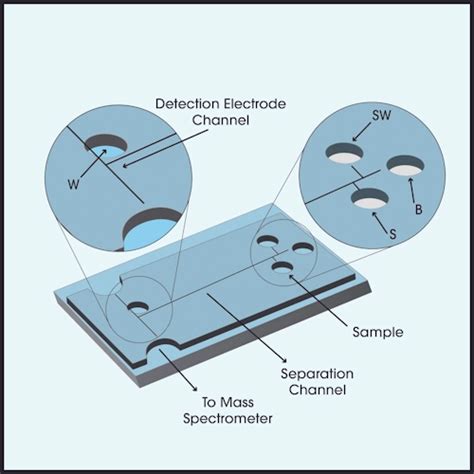 Capillary Electrophoresis Instrument Price And Cost Considerations