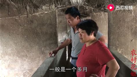 一头猪一年能收入多少钱？养猪的大叔告诉你纯利润，是实情吗？农村生活 分享自己的生活 Asmr治愈 Youtube