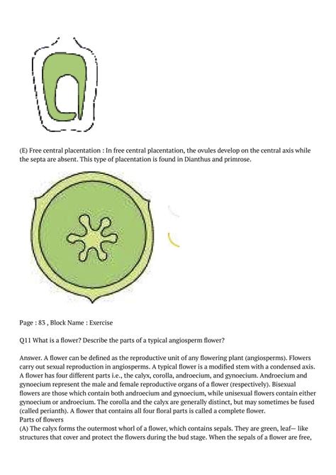 Ncert Solutions For Class 11 Biology Chapter 5 Morphology Of Flowering