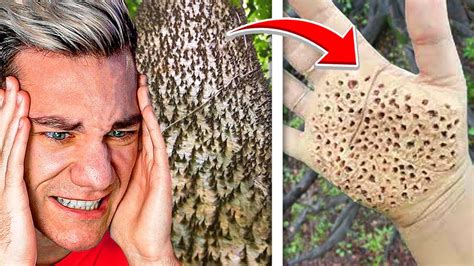 NejdivnĚjŠÍ ZÁvislosti Na SvĚtĚ Youtube