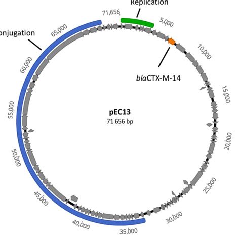 The Evolutionary Rescue Of Crispr Plasmid Harboring Antibiotic Download Scientific Diagram
