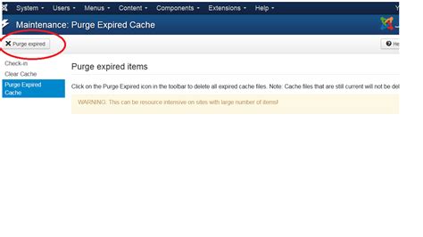 Joomla 3 X How To Clear Cache Template Monster Help
