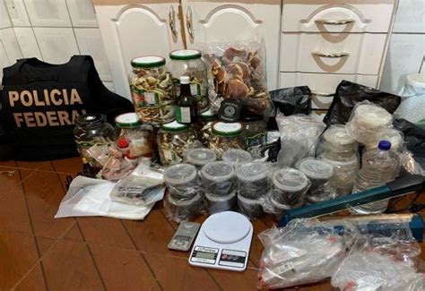PF desmonta esquema de venda de cogumelos alucinógenos pela internet em