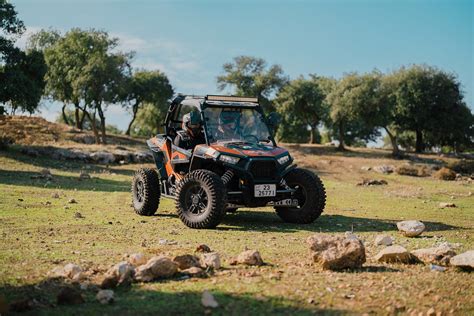 Bait Shaker 2026 All You Must Know Before You Go With Reviews And Photos