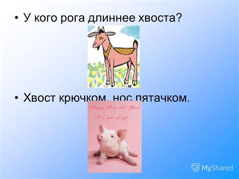 Презентация на тему Окружающий мир 4 класс Сельское хозяйство