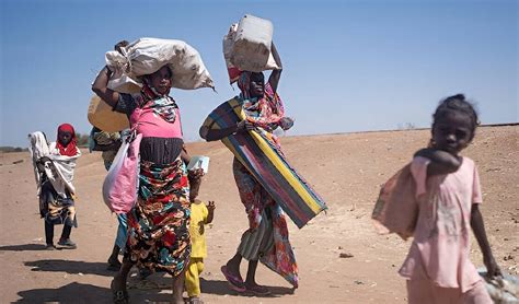تقرير 256 مليون شخص مهدّدون بانعدام الأمن الغذائي الحاد في السودان