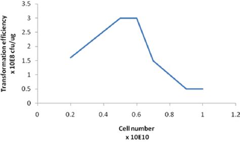 Effect Of Electroporation Cell Number On Transformation Efficiency Download Scientific Diagram