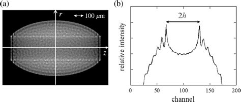 A The Simulation Image Of A Two Component Coulomb Crystal Consisting Download Scientific