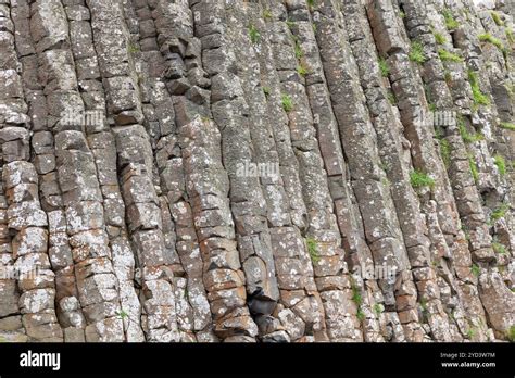 A Detailed View Of The Steep Basalt Pillars At Giant Causeway Showing
