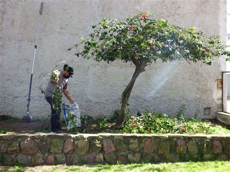 Refaccionando Espacios Verdes Embellecimiento De La Plazoleta Ramallo