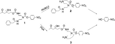 Activation Of A Molecular Or Logic Trigger By A Dual Triggering