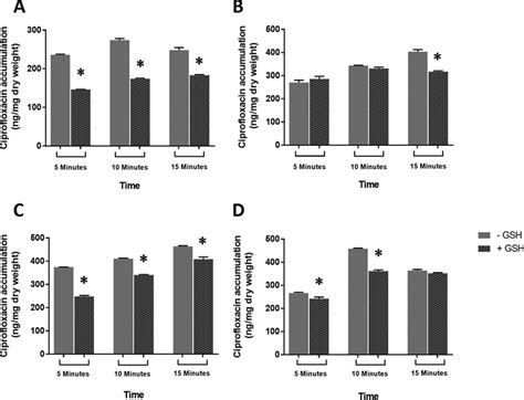 Ciprofloxacin Accumulation Inside Wild Type E Coli Bw25113 A And