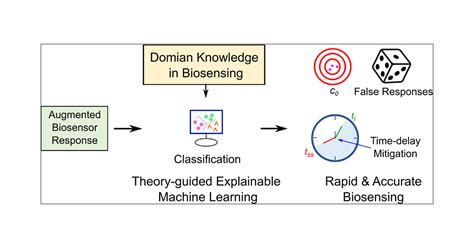 Reduction Of Biosensor False Responses And Time Delay Using Dynamic Response And Theory Guided
