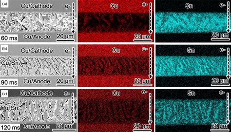 Cross Sectional Sem Images And Corresponding Element Distribution Maps Download Scientific
