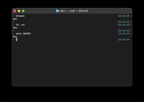 ways to know the logged in username using terminal [macos linux unix