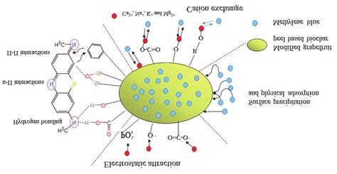 Optimizing The Methylene Blue Removal From Aqueous Solution Using Pomelo Peel Based Biochar