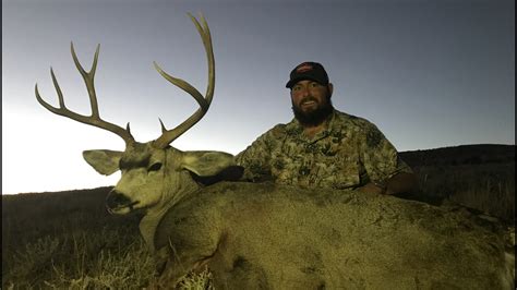 Mule Deer Hunting Wyoming