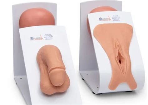 Polymerised Rubber Male Female Catheterization Training Set At ₹ 162000