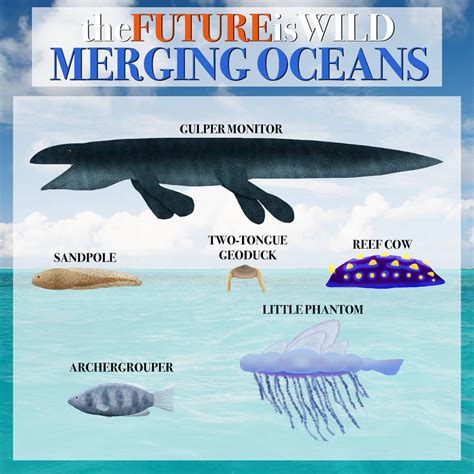 Tfiw Ter Merging Oceans By Specjects On Deviantart