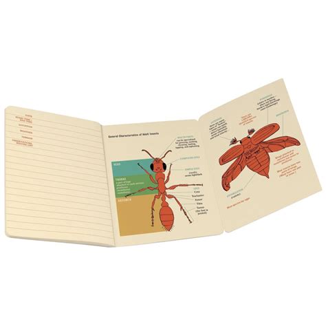 insect entomology notebook unemployed philosophers guild outer layer