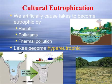 Types Of Lake Ppt