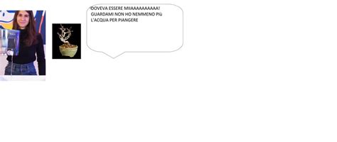 Bonsai Ci Manchi R Richardhttsubmissions