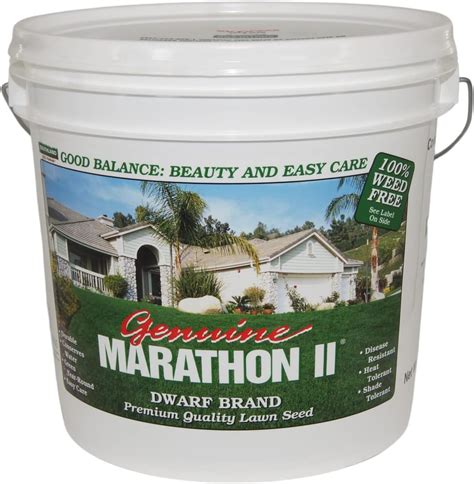 Titan Rx Sun And Shade Turf Type Tall Fescue Grass Seed