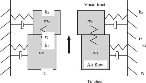 Symmetrical Vocal Folds Two Mass Model Riede 2011 Download Scientific Diagram