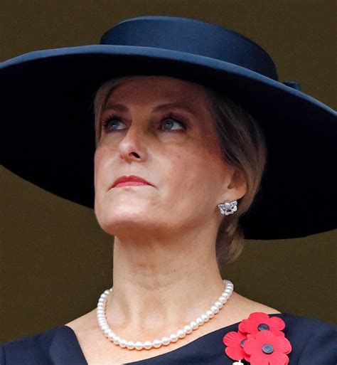 See ﻿haunting New Photos Of Duchess Sophie On Remembrance Day﻿