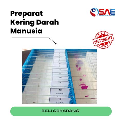 Siplah Telkom Belanja Keperluan Sekolah Online Makin Mudah