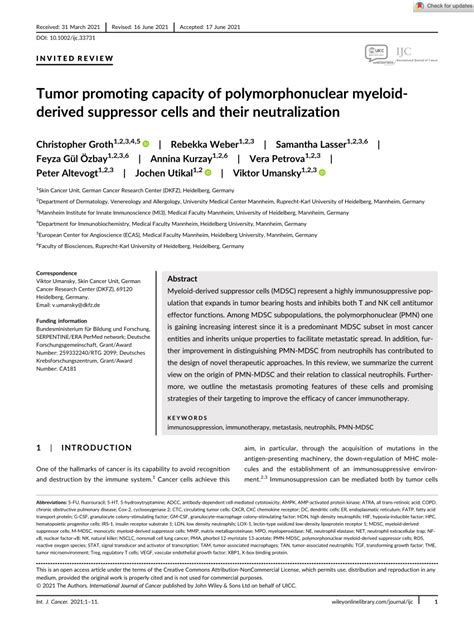 Pdf Tumor Promoting Capacity Of Polymorphonuclear Myeloid‐derived