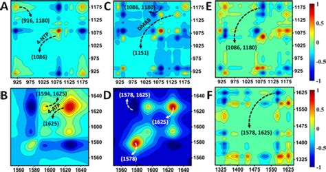 Synchronous Maps With Variable Concentration Of Analyte With Agnps A