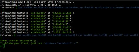 mass cross site scripting hunting otterly