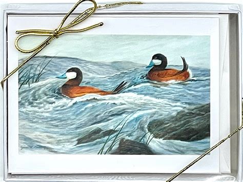 Dynamic Duo Ruddy Ducks John A Ruthven Master Of Wildlife Art