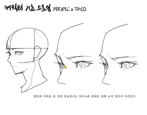 타코작가 On Twitter Cosas De Dibujo Tutorial De Anatomía Consejos De Dibujo