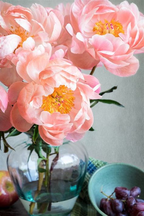 Peachy Peonies Art Print By Colleen Farrell Society6 Peonies Art